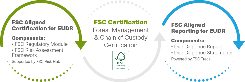 Understanding “FSC Aligned for EUDR”: Leveraging FSC’s New Framework to ...